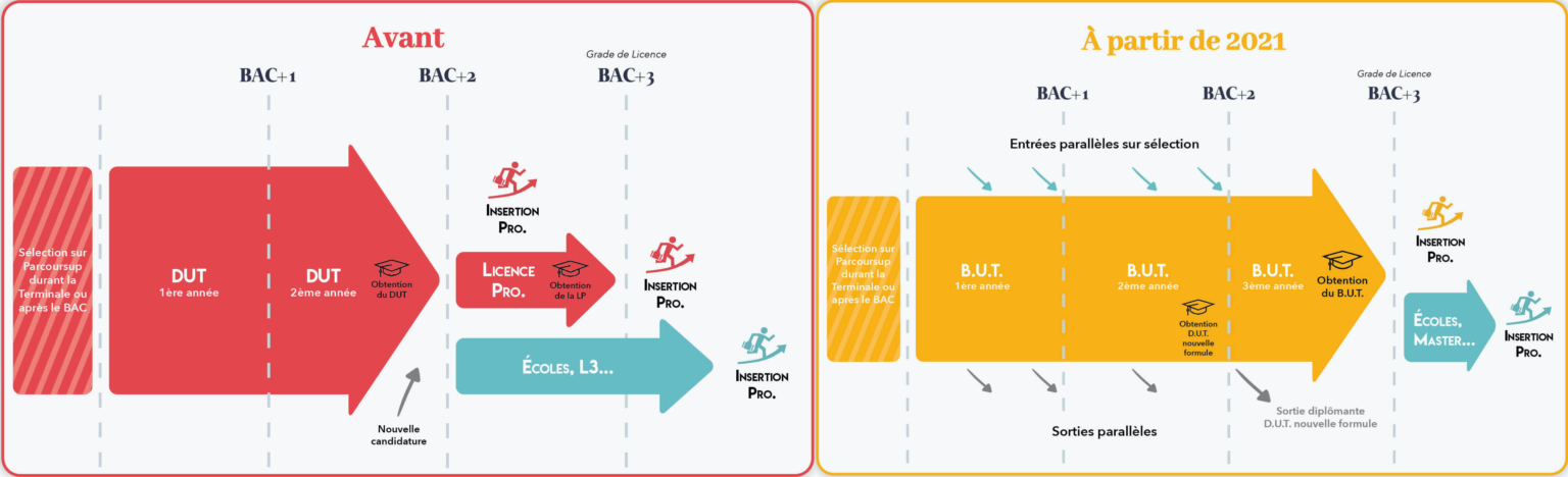 LE BUT, qu’est ce que c’est